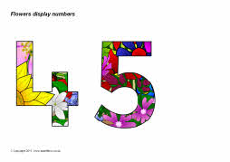 Flower-themed display numbering (SB4745) - SparkleBox