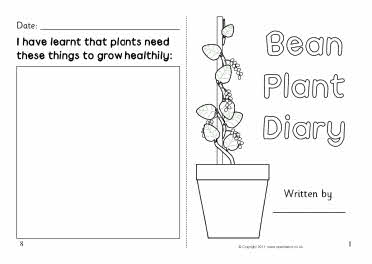Bean plant diary template (SB4757) - SparkleBox
