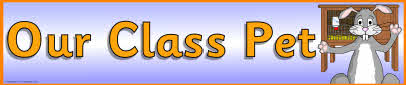Our Class Pet banners (SB4889) - SparkleBox