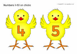 Numbers 0-50 on chicks (SB4893) - SparkleBox