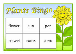 Plants bingo (SB4996) - SparkleBox