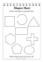 Shapes hunt and survey worksheets (SB5067) - SparkleBox