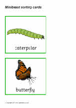 Minibeast sorting cards (SB5095) - SparkleBox