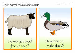 Farm animal yes/no sorting cards (SB5091) - SparkleBox