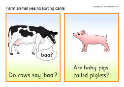 Farm animal yes/no sorting cards (SB5091) - SparkleBox