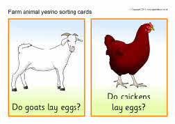 Farm animal yes/no sorting cards (SB5091) - SparkleBox