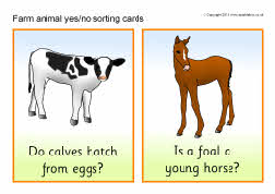 Farm animal yes/no sorting cards (SB5091) - SparkleBox