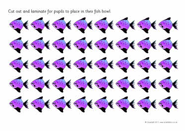 Fish bowl addition mats (SB5144) - SparkleBox