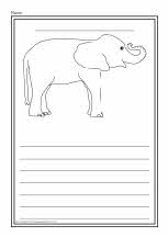 Safari animals colour and write worksheets (SB5179) - SparkleBox