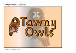 Owl-themed group signs - A4 (SB5297) - SparkleBox