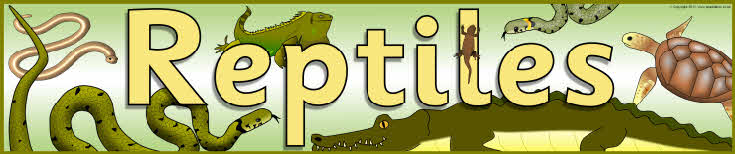 Reptiles display banner (SB5336) - SparkleBox