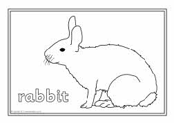 British wildlife colouring sheets (SB5388) - SparkleBox