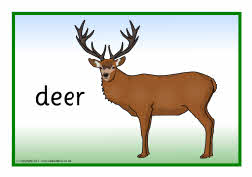 British wildlife posters (SB5377) - SparkleBox