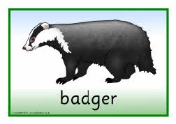 British wildlife posters (SB5377) - SparkleBox