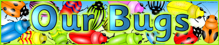 Our Bugs display banner (SB5384) - SparkleBox