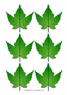Pupil self-registration maple leaves (SB5471) - SparkleBox