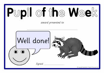 Raccoon award certificates (SB5568) - SparkleBox