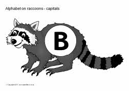 Alphabet on raccoons - capitals (SB5575) - SparkleBox
