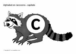 Alphabet on raccoons - capitals (SB5575) - SparkleBox