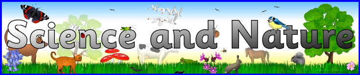 Science and Nature display banner (SB5613) - SparkleBox
