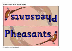 More bird-themed group table signs (SB5627) - SparkleBox