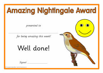 Nightingale award certificates (SB5646) - SparkleBox