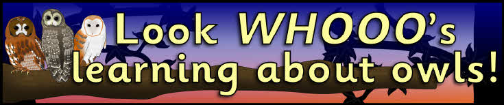 Look WHOOO’s learning about owls display banner (SB5687) - SparkleBox