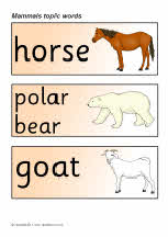 Mammals topic word cards (SB5693) - SparkleBox