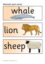 Mammals topic word cards (SB5693) - SparkleBox