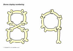 Bones display numbering (SB5740) - SparkleBox