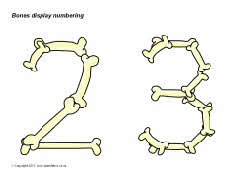 Bones display numbering (SB5740) - SparkleBox