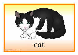 Pet animals posters (SB5848) - SparkleBox