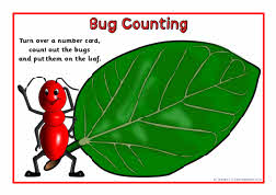 Bug counting mats (SB6052) - SparkleBox
