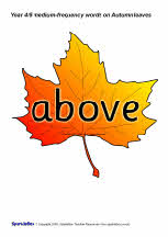 Year 4/5 medium-frequency words on Autumn leaves (SB6389) - SparkleBox