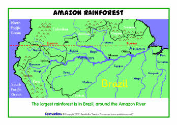 Rainforest maps (SB6574) - SparkleBox