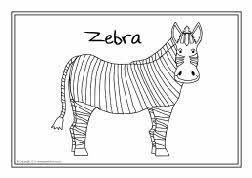 Rumble in the Jungle colouring sheets (SB6610) - SparkleBox