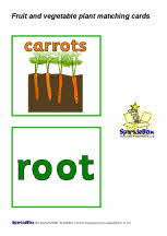 Fruit and vegetable plant matching cards (SB6659) - SparkleBox