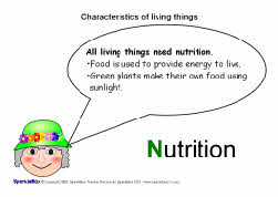 Mrs Nerg life processes posters (SB6664) - SparkleBox