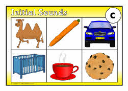 Initial sounds bingo: c (SB6860) - SparkleBox
