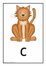 Alphabet picture A4 flash cards (SB6866) - SparkleBox