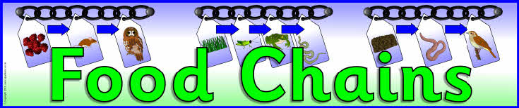 Food Chains display banner (SB6943) - SparkleBox