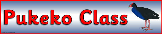 Pukeko-themed classroom signs and labels pack (SB7120) - SparkleBox