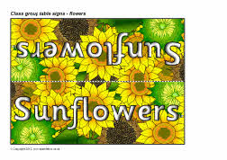 Flower-themed class group table signs (SB7344) - SparkleBox