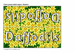 Flower-themed class group table signs (SB7344) - SparkleBox