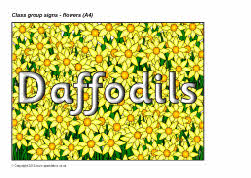 Flower-themed class group signs - A4 (SB7345) - SparkleBox