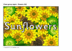 Flower-themed class group signs - A4 (SB7345) - SparkleBox