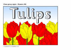 Flower-themed class group signs - A4 (SB7345) - SparkleBox