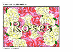 Flower-themed class group signs - A4 (SB7345) - SparkleBox