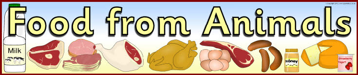 Food from Animals display banner (SB7620) - SparkleBox