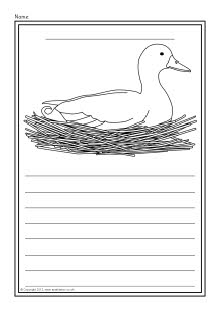 Life cycle of a duck colour and write worksheets (SB7634) - SparkleBox